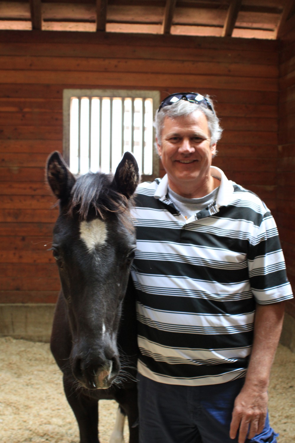 What I Like About Medicines - David Ramey, DVM