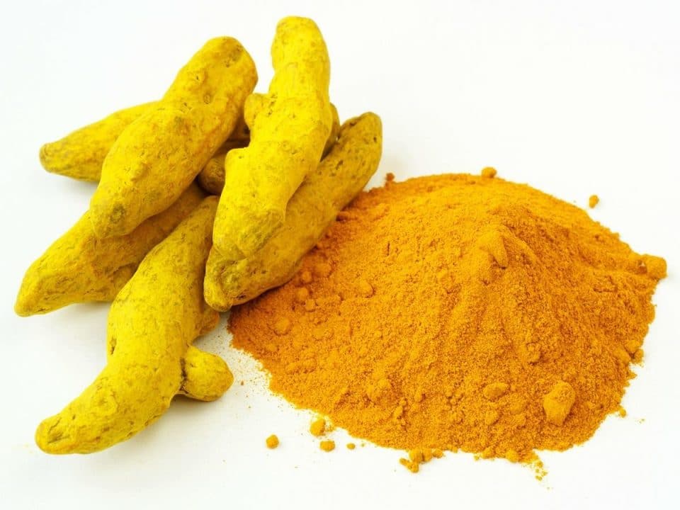 Let's Look Into Turmeric - David Ramey, DVM