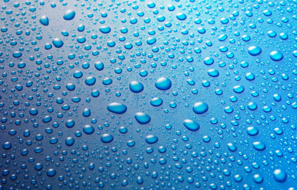 Should Healing Wounds Be Moist or Dry? - David Ramey, DVM